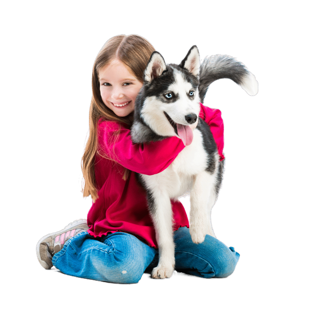 All About Huskies | Husky Website for Training, Care, and Expert Insights - Husky Union